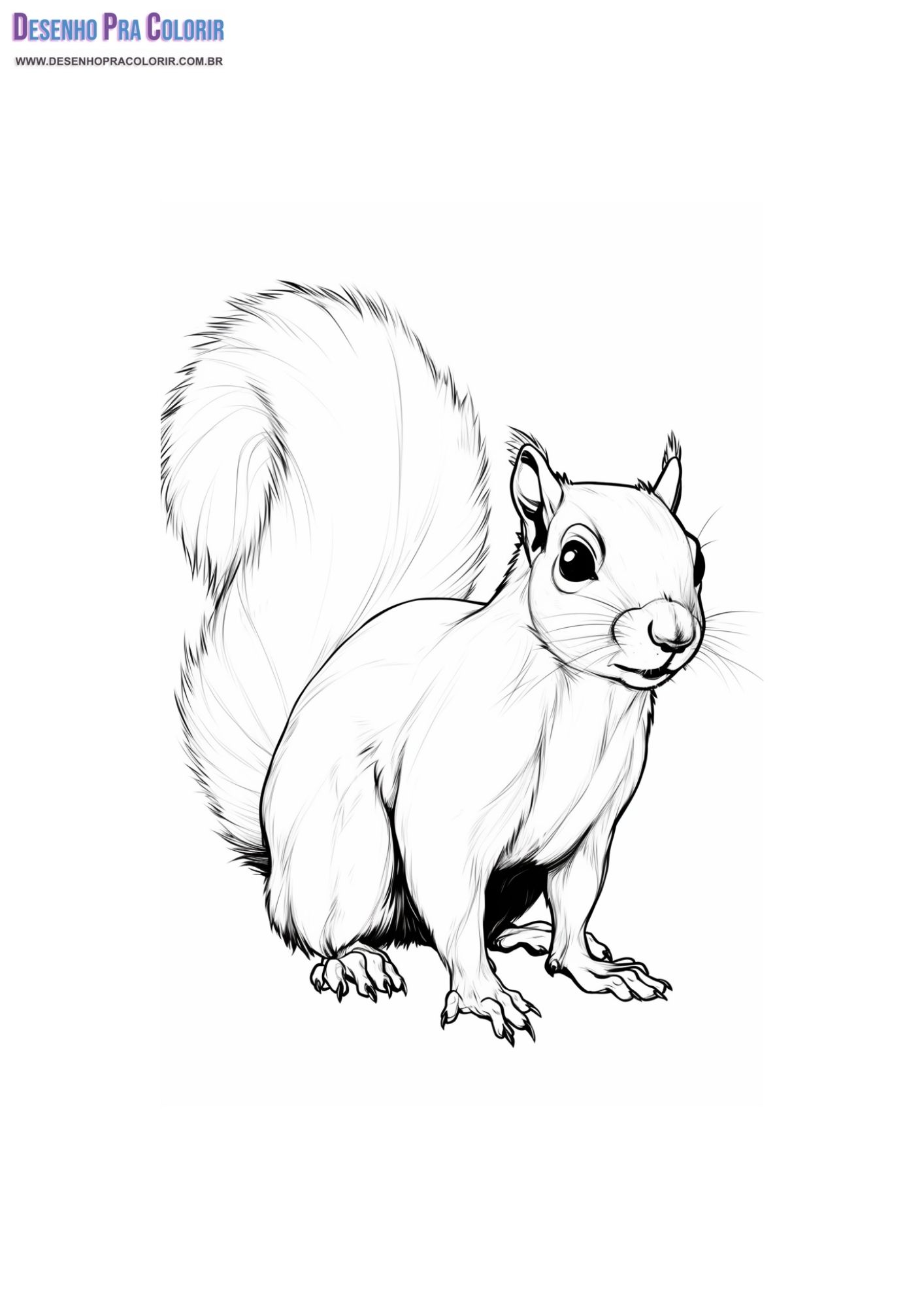 Esquilo Para Colorir - São + de 30 Desenhos Para Imprimir e Pintar