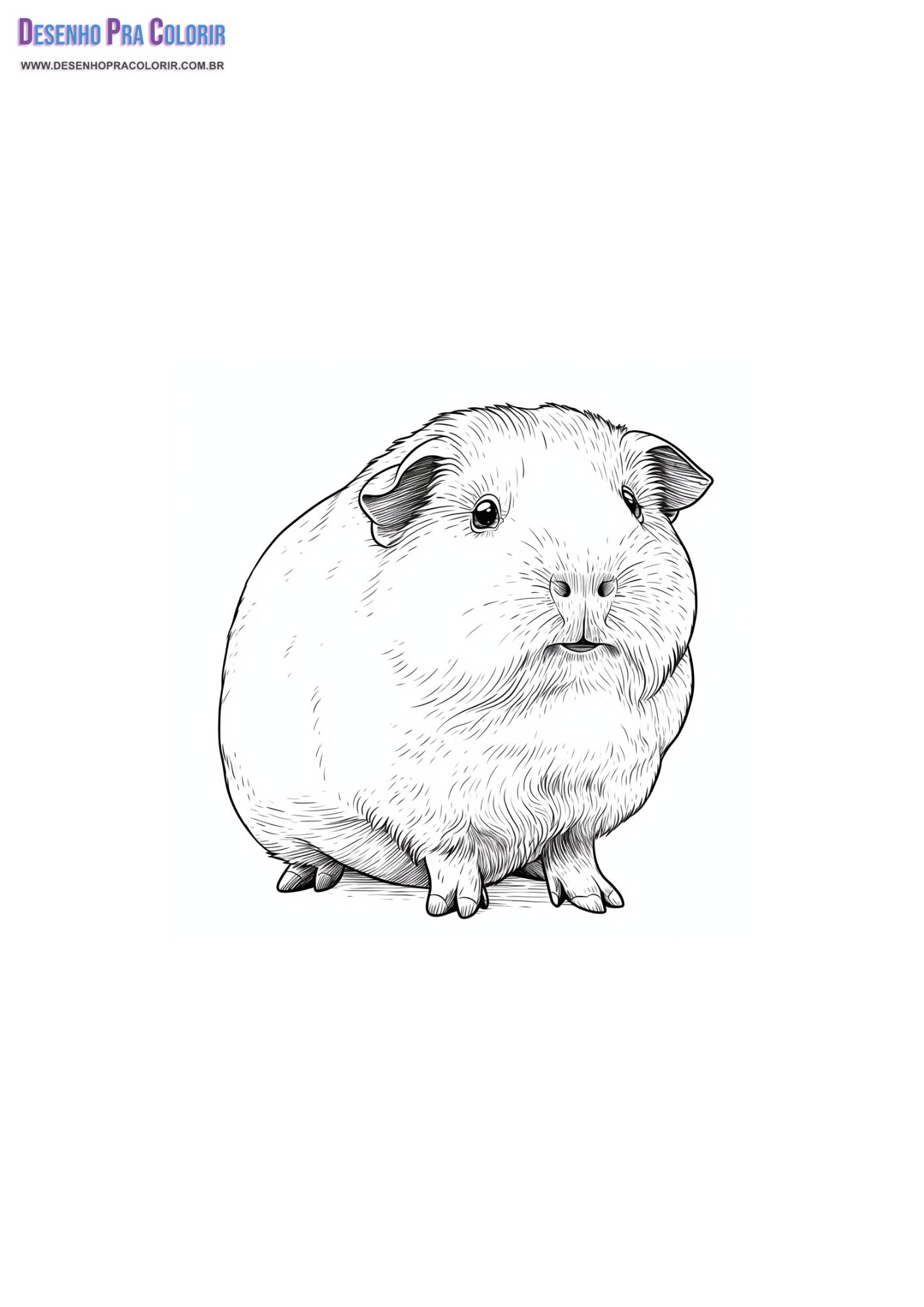 Porquinho da Índia Para Colorir + de 30 Desenhos Para Imprimir