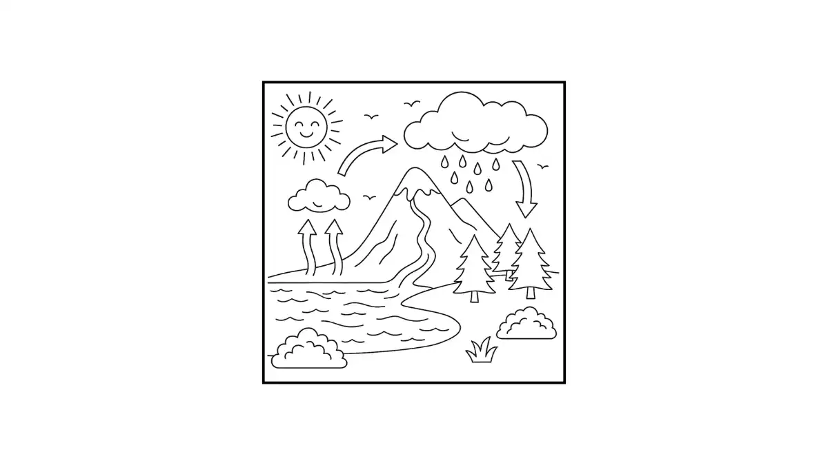 Desenhos Para Colorir Ciclo Da Agua