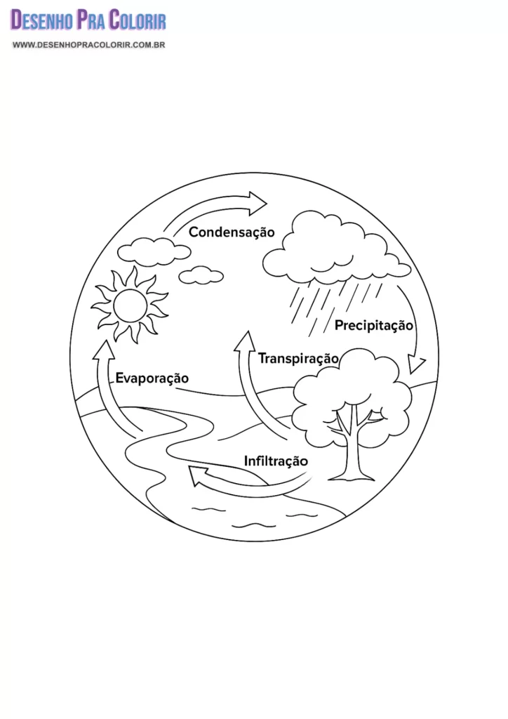 Ciclo da Água Para Colorir